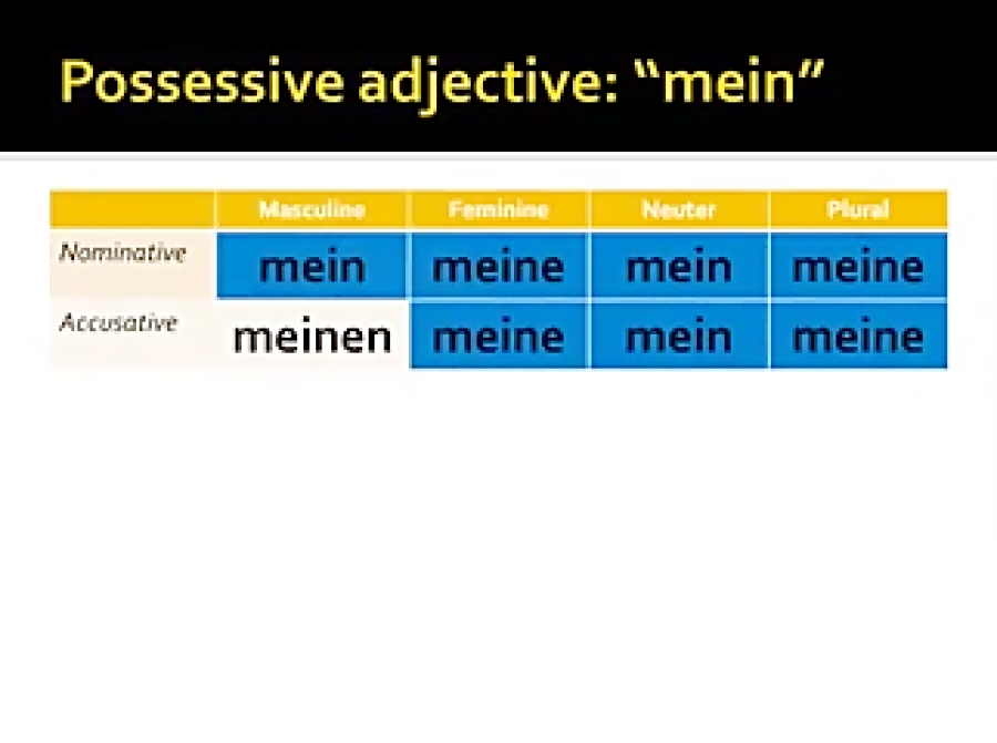 German Possessive Adjectives (Nominative and Accusative)