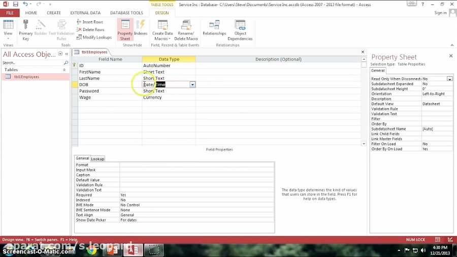 3. Options For Our Data (Programming In Access 2013)