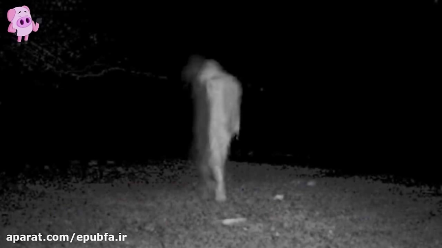 10 REAL Demon Photos That Will Give You Chills