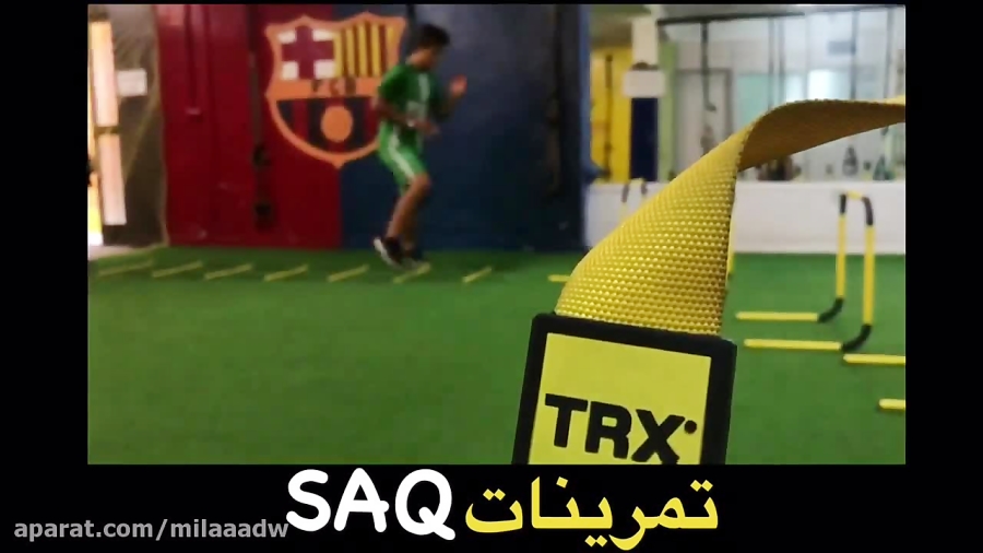 تمرینات SAQ