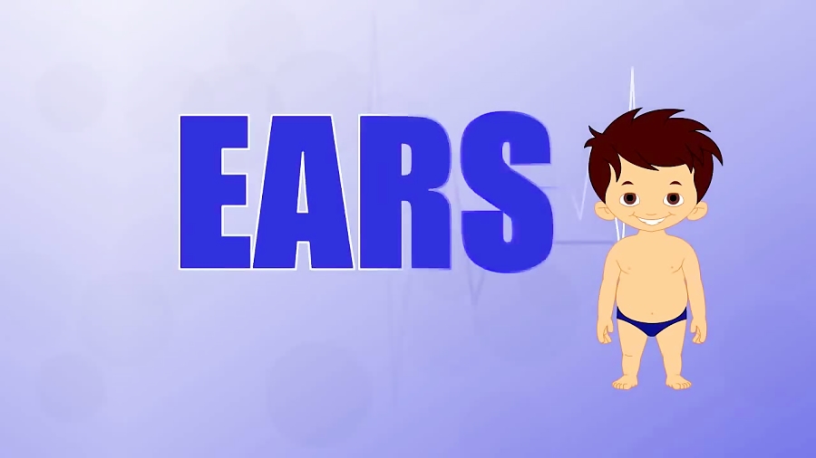 Ears - Human Body Parts - Pre School Know Your Body - Animated Videos ...