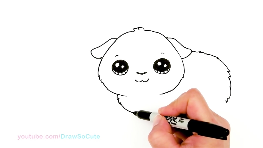 How to Draw a Guinea Pig Easy and Cute