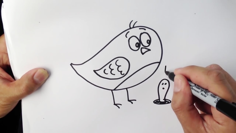 How to Draw a Cartoon Bird