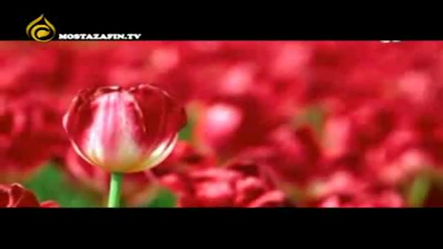 تقدیم به جانبازان و شهدای سوریه ایران و.. ( حامد زمانی)