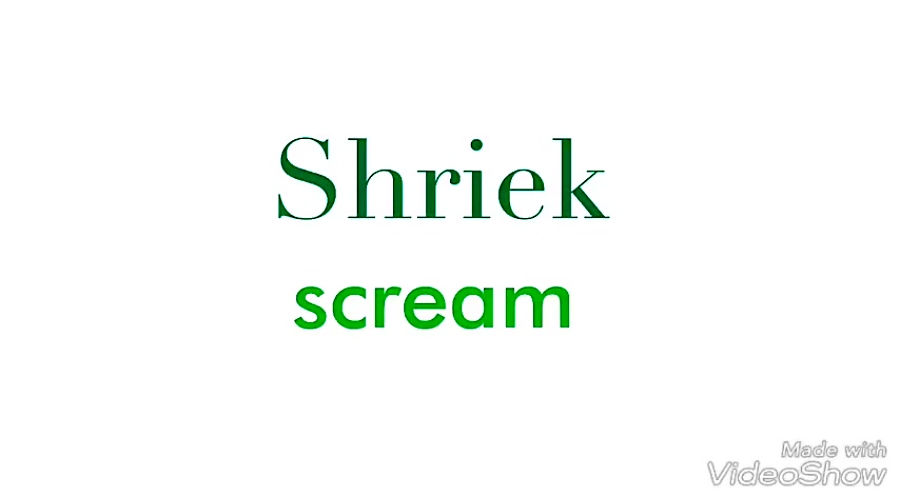 504 Essential Words with movie - Lesson 2 - Shriek meaning