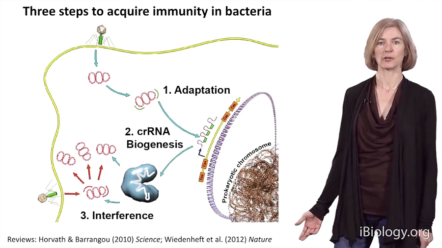 Jennifer Doudna (UC Berkeley / HHMI): Genome Engineering with CRISPR-Cas9