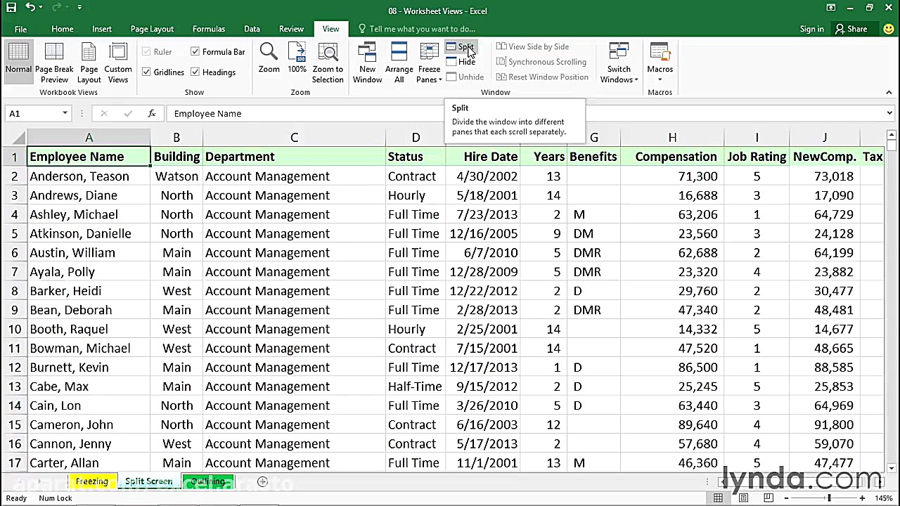 Lynda-09-Adjusting Worksheet Views-02-Splitting screens horizontally,vertically