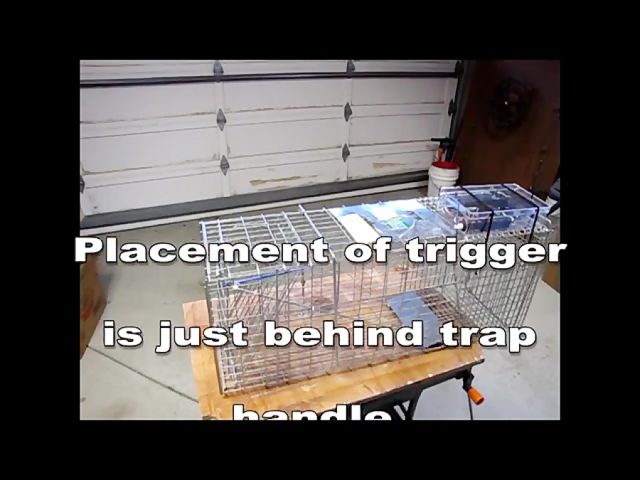 How To Build a Remote Control Trap for Ferals