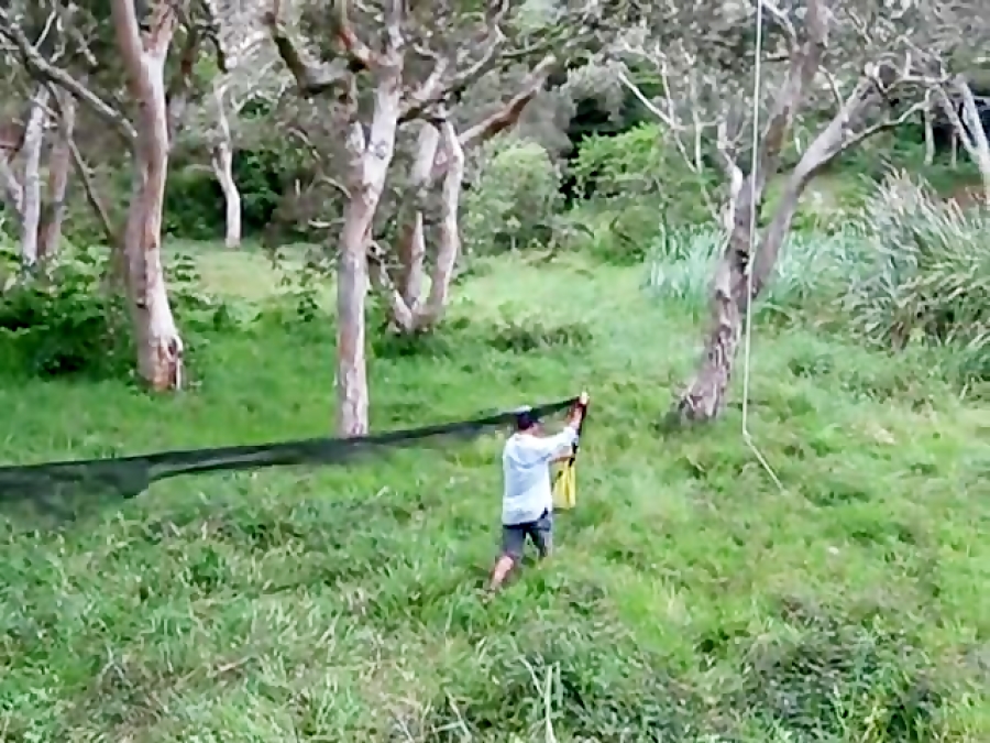 Setting up aerial mist net part 4