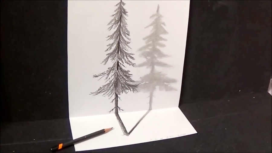 How to Draw Pine Tree - Drawing 3D Illusion with Graphite Pencil ...