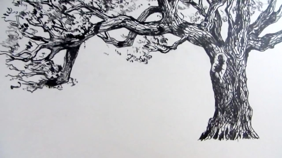 How To Draw A Tree: Narrated step by step
