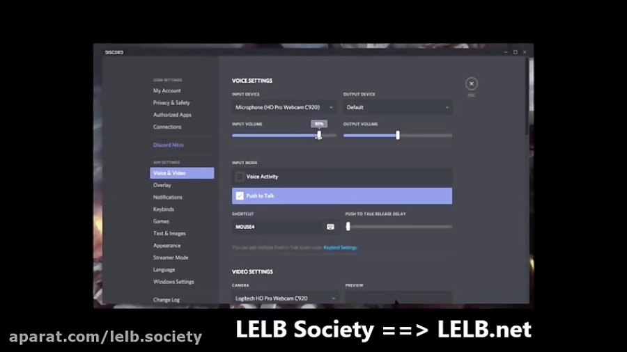 Discord Audio Settings with Push to Talk