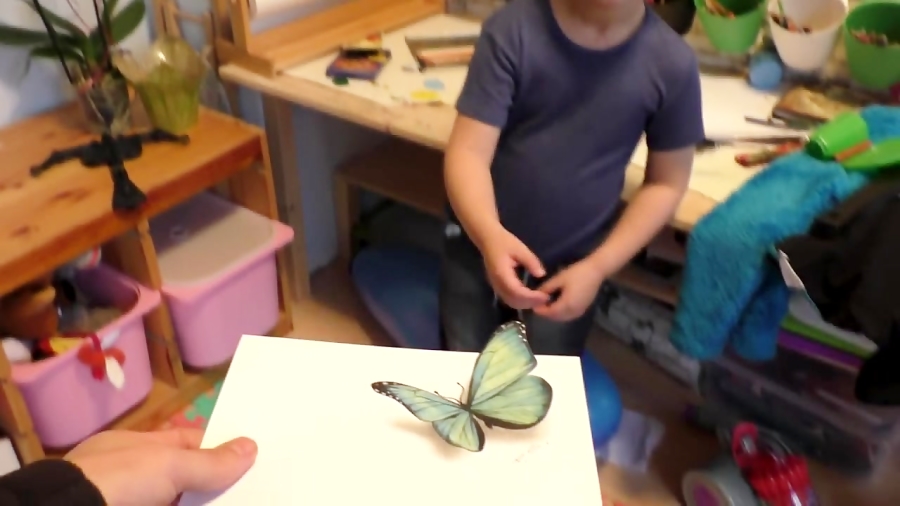 3D Drawing of butterfly /Anamorph speed painting