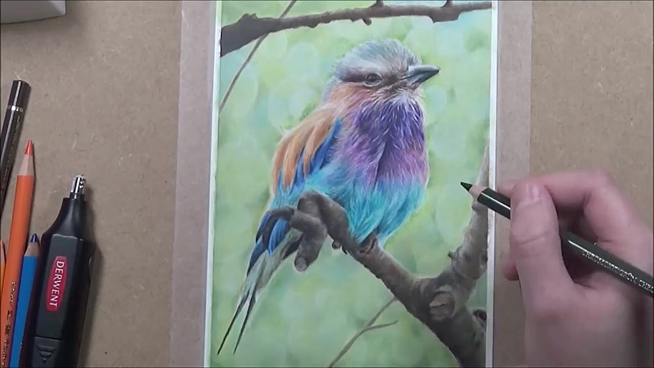 Bird Speed Drawing: Drawing A Realistic Bird In Coloured Pencil