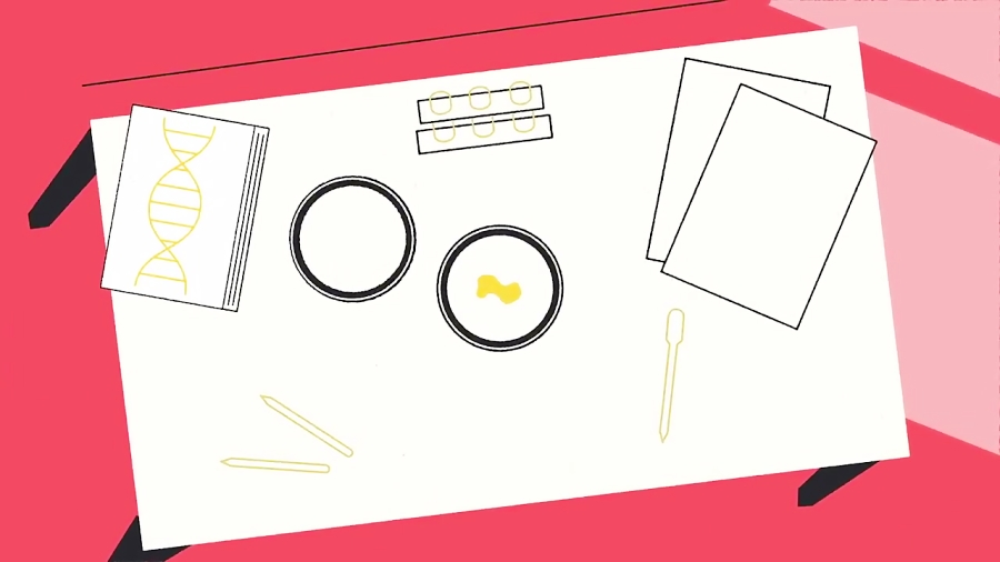 How CRISPR lets you edit DNA - Andrea M. Henle