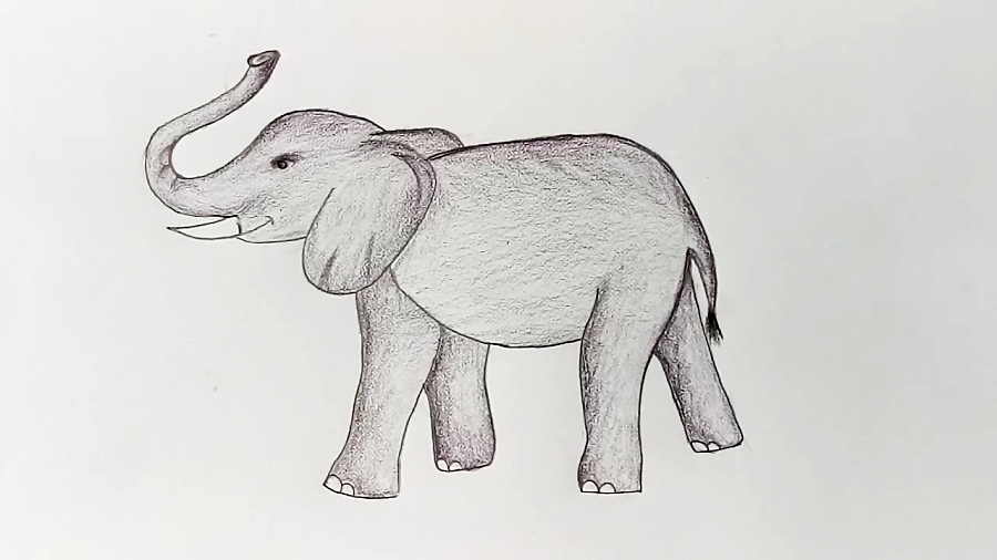 Drawing 3D Elephant - How to Draw 3D Elephant on Paper
