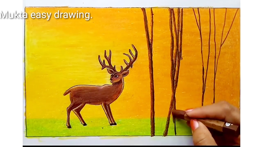 How to draw a Forest.Step by step(easy draw)