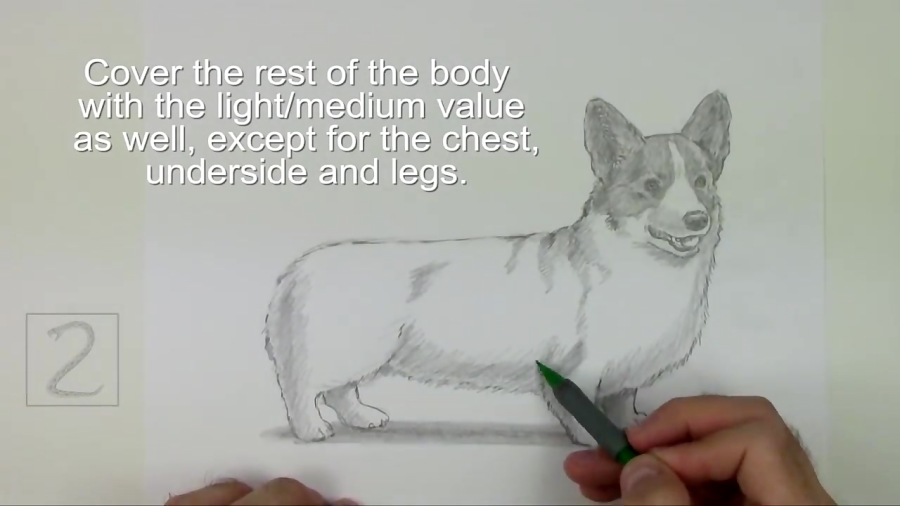 How to Draw a Dog (Welsh Corgi)