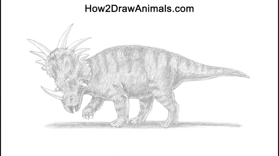 How to Draw a Styracosaurus Dinosaur