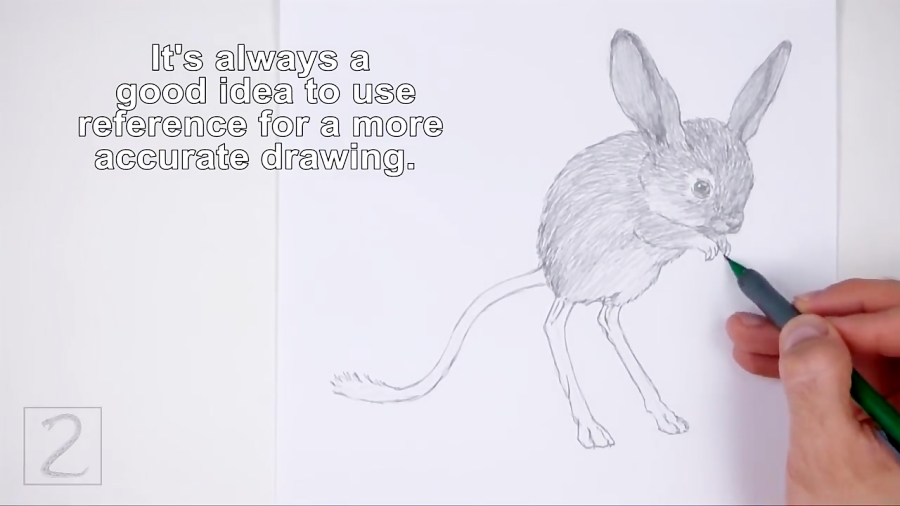How to Draw a Jerboa (Long-Eared)