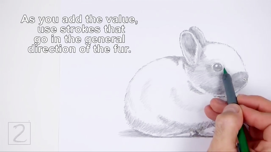 How to Draw a Rabbit (Baby)