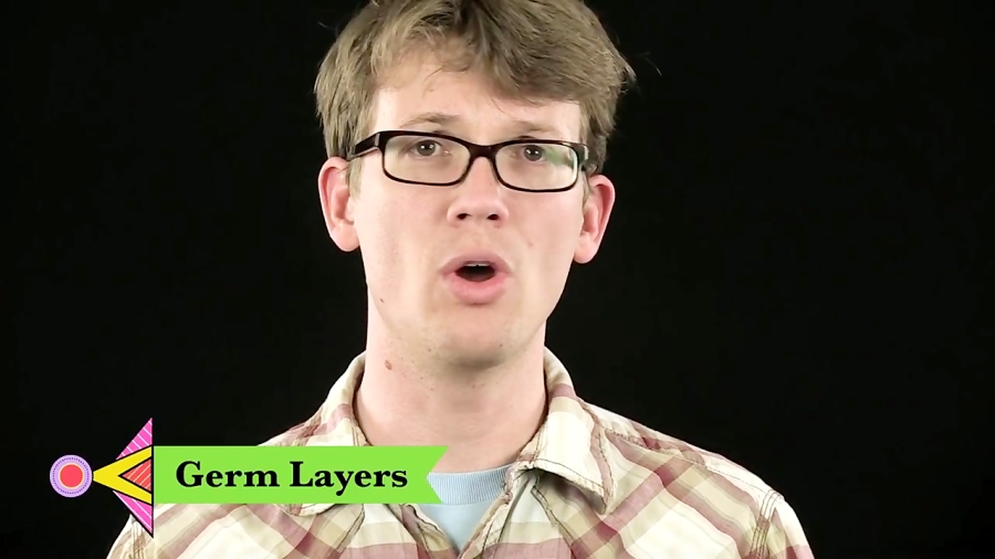 Biological Molecules - You Are What You Eat: Crash Course Biology #3