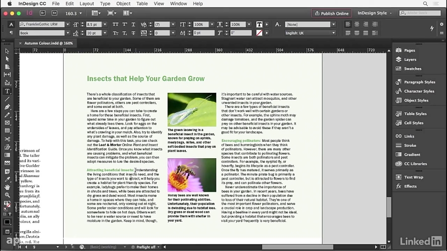 دانلود دوره ﻿InDesign - یک سبک تو در تو