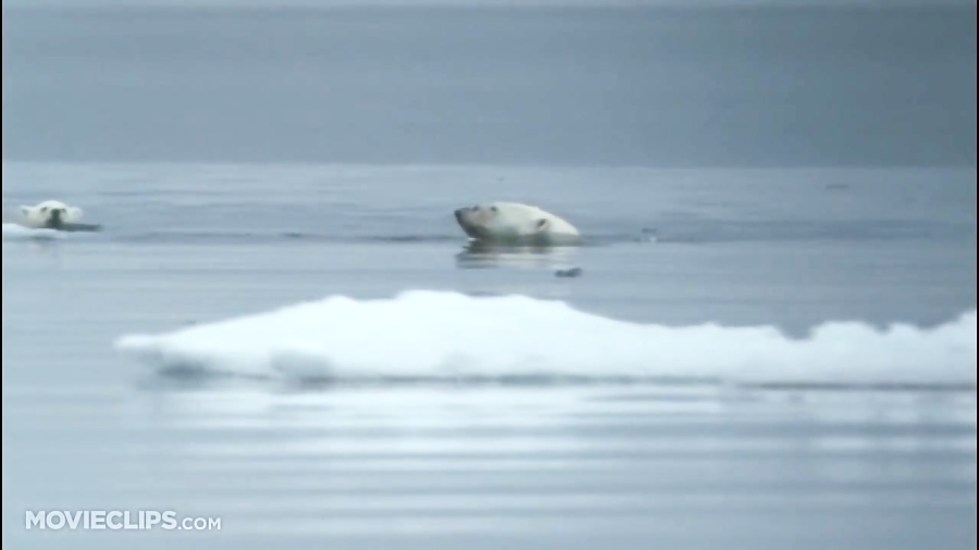 Arctic Tale (4/10) Movie CLIP - Stealing Walrus Meat (2007) HD