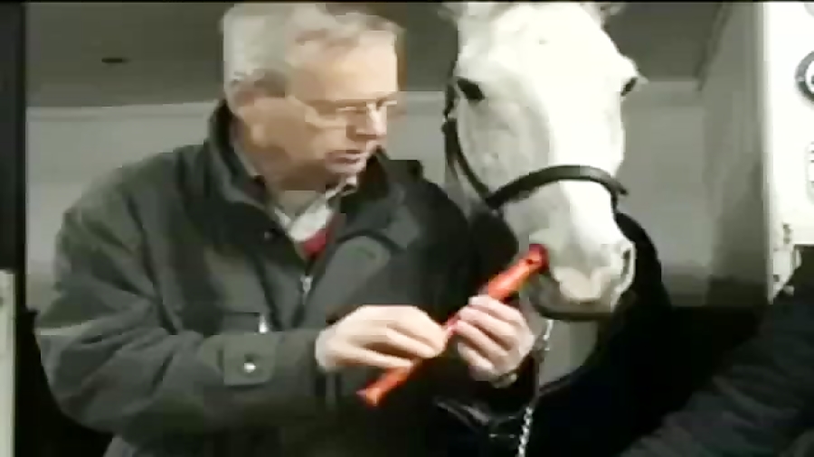 فلوت زدن اسب