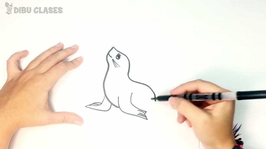 Cómo dibujar una Foca paso a paso | Dibujo fácil de Foca