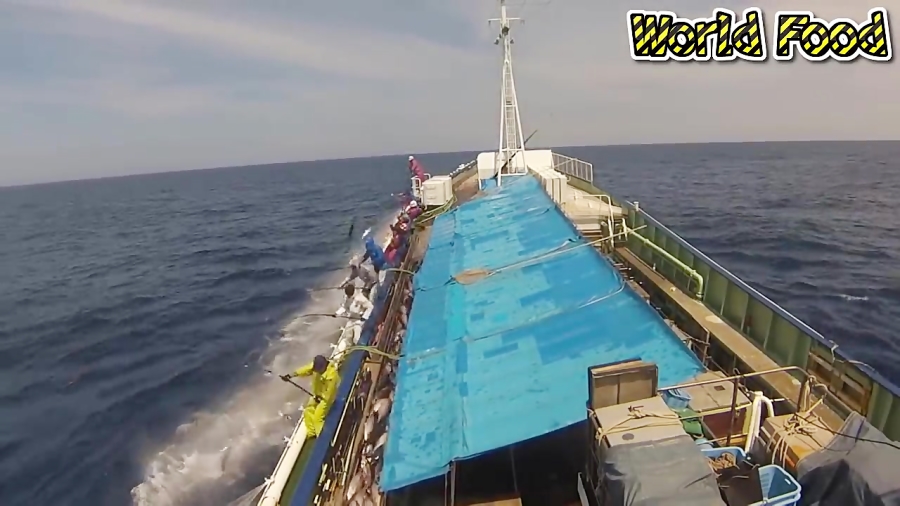Amazing Fast Catch Fishing Tuna With Big Boat - Lot Of Live Fish ...