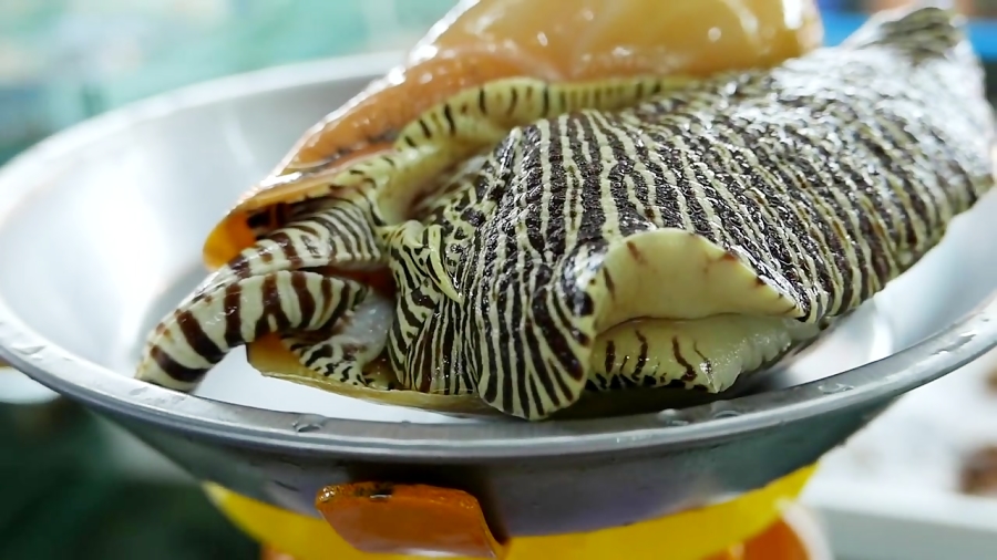 GIANT SEAFOOD - MONSTER SEA SNAIL Thailand Street Food