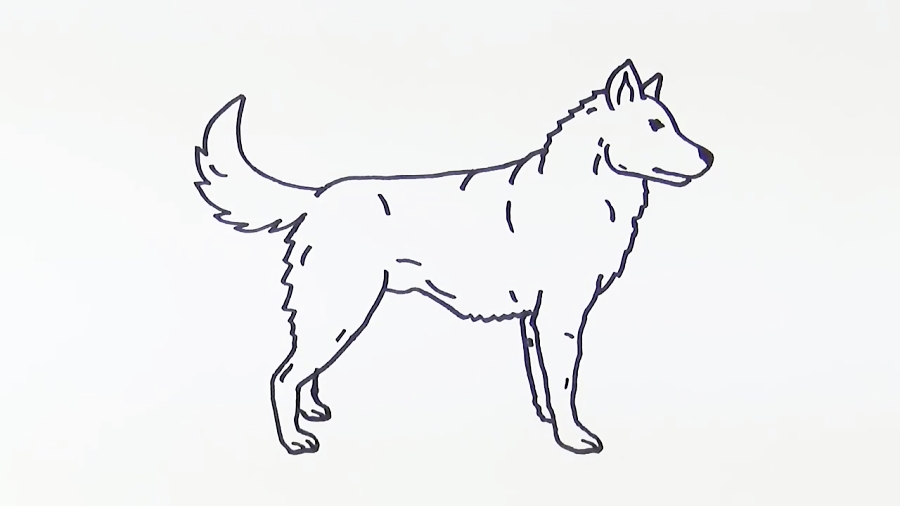 How to Draw a Dog Easy Step by Step | Animals Drawings for Beginners