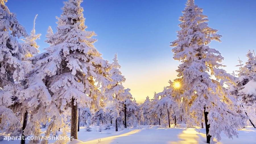 آهنگ شــــاد ترکی | HD