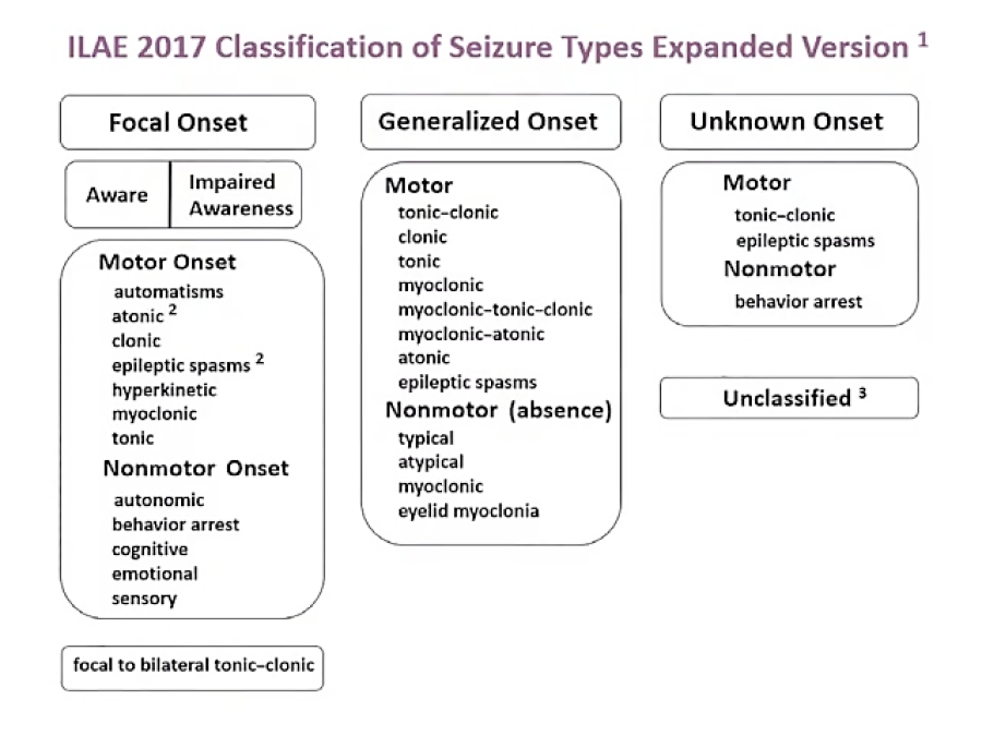 New Classification of epilepsy