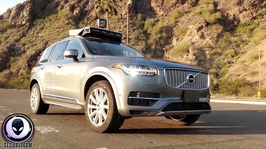 "RUN AWAY" - These "Insects" Are NOT What You Think.