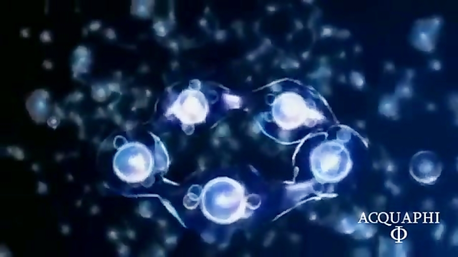 Water Memory and Structured Water