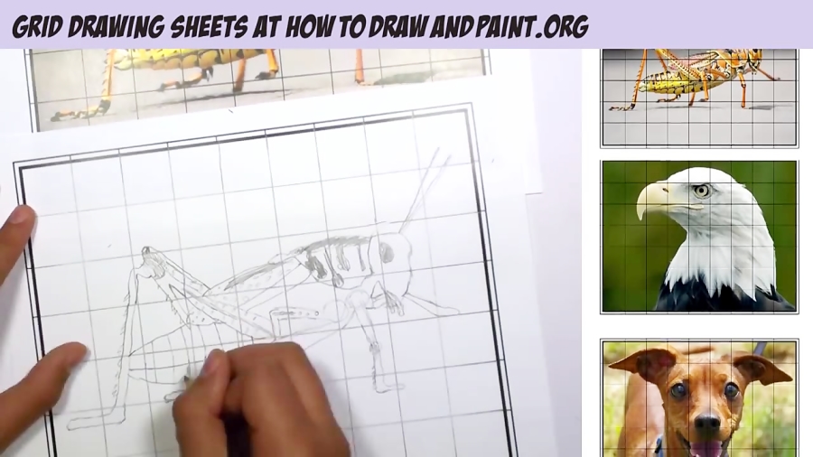 Grid Drawing Sheets at HowToDrawAndPaint.org - Art for kids | BP