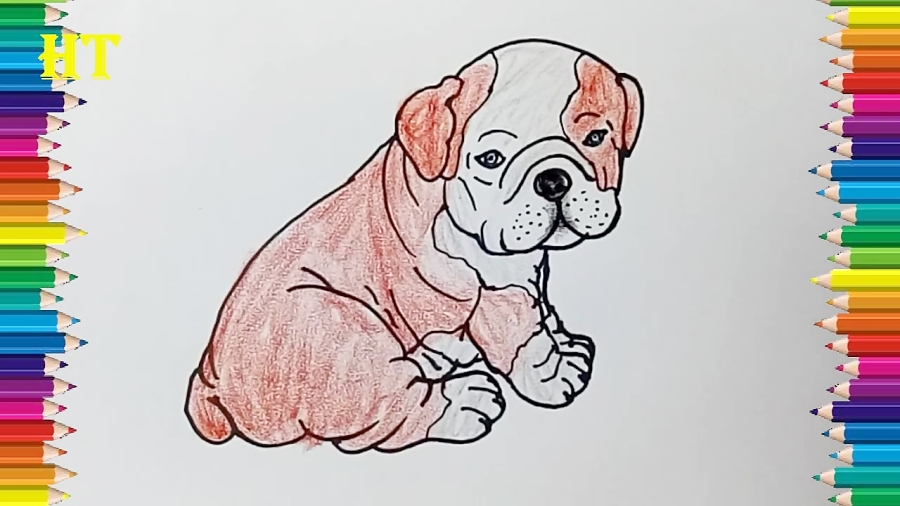 How to draw a bulldog step by step - Cute puppy drawing and coloring ...
