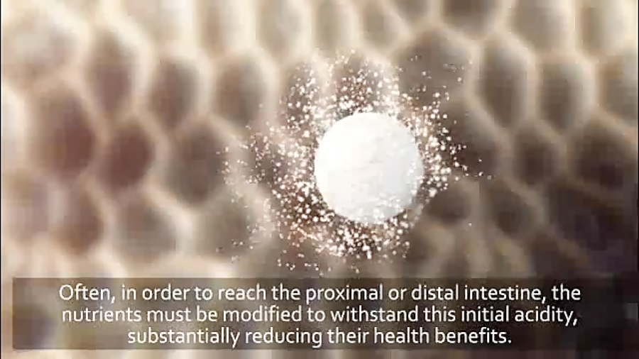 Micro-encapsulation process (AGRANCO)