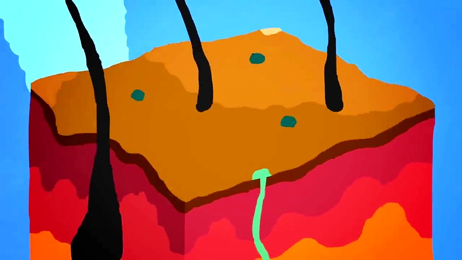 The science of skin color - Angela Koine Flynn