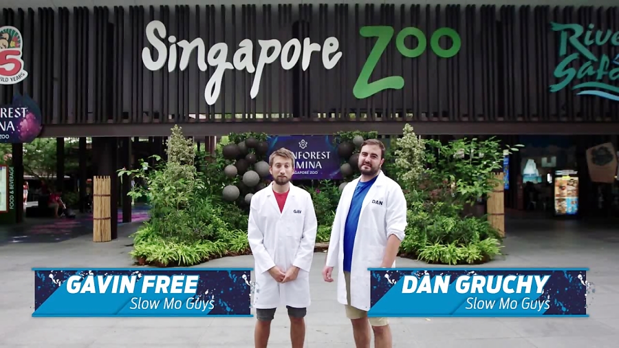 تصویر آهسته و جالب دیدنی _Fast Reptiles in Slow Mo