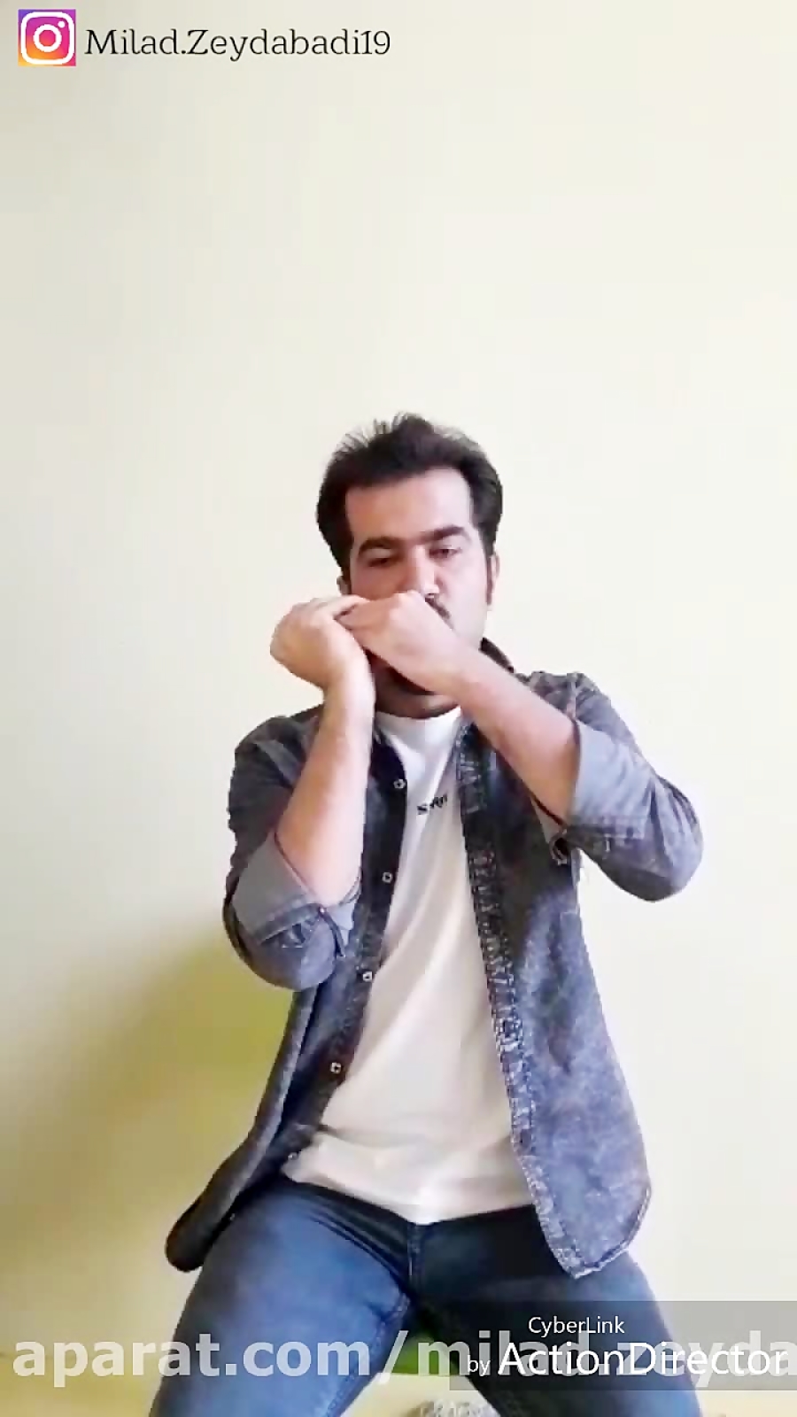 اجرای اهنگ میشل استروگف با سازدهنی(هارمونیکا) نوازنده میلاد زیدآبادی