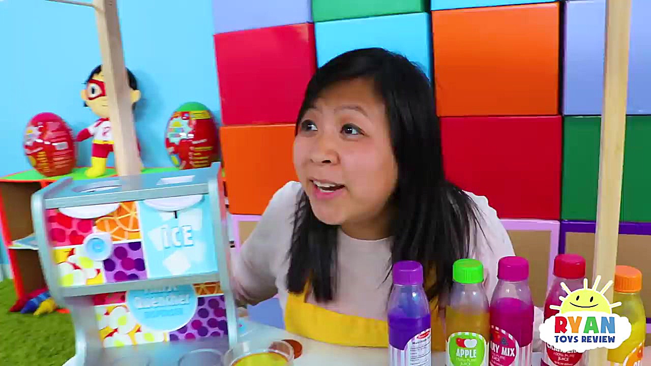 Ryan Pretend Play Grocery Store and Ice Cream Hot Dog Cart Toys!