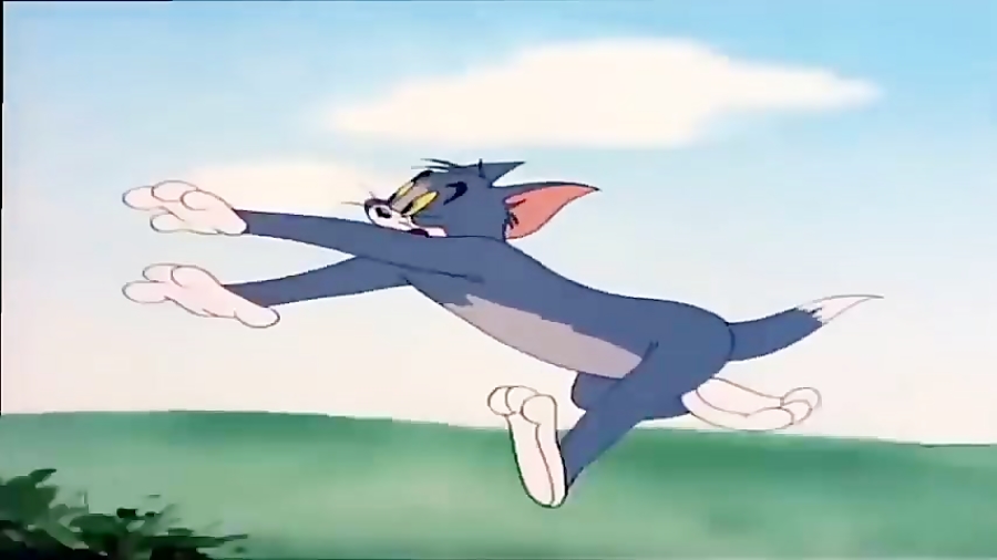 Tom.y.Jerry.en.Español..Little.Quacker.. .Down.and.Outing..Dibujos.animad