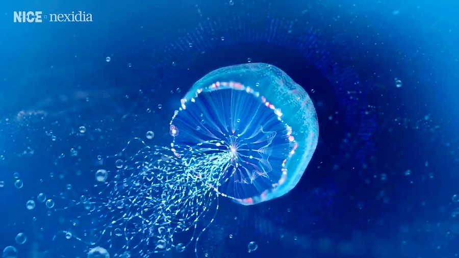 ابزار تحلیل مشتری NICE Nexidia