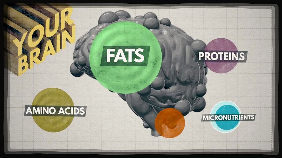 How the food you eat affects your brain - Mia Nacamulli