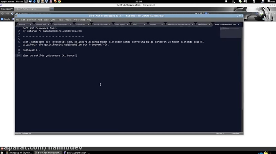 Kali Linux - BeEF XSS Framework