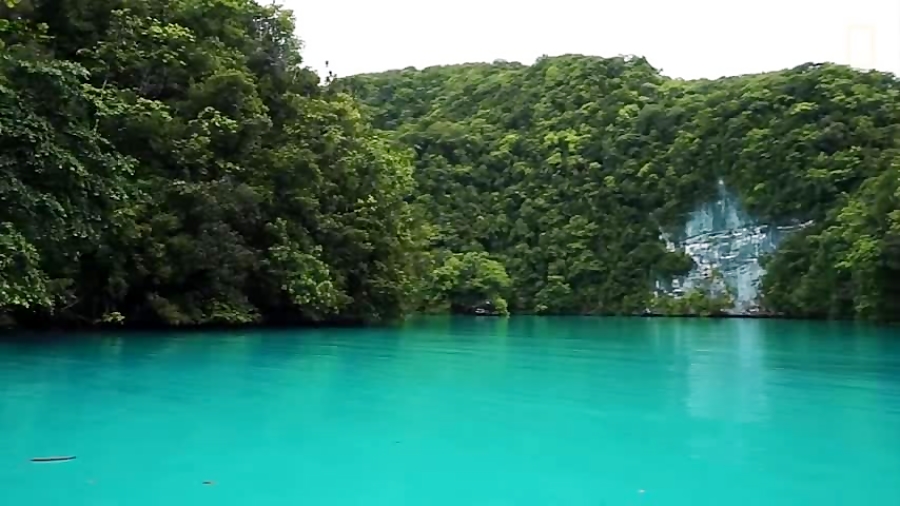 Palau's New Mandatory Eco-Pledge is the First of Its Kind | National ...