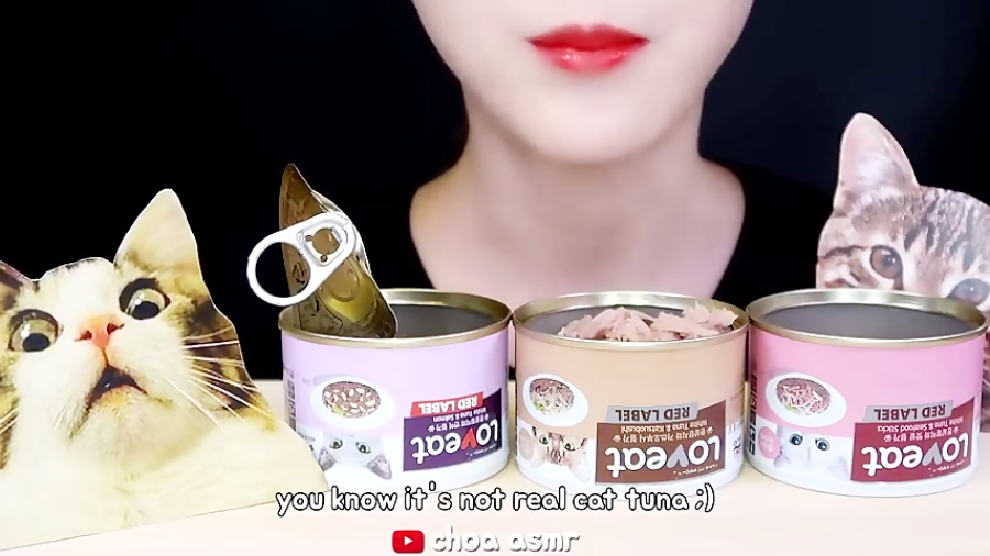 ASMR CAT FOOD EATING ASMR CAT TUNA MUKBANG ASMR NO TALKING PRANK ASMR